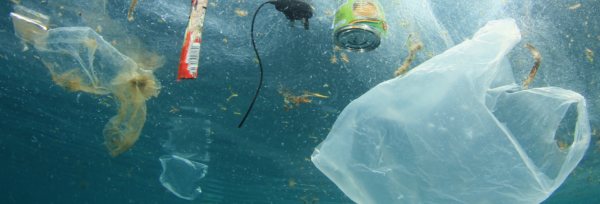 L'inquinamento dell'acqua, conseguenze e rimedi