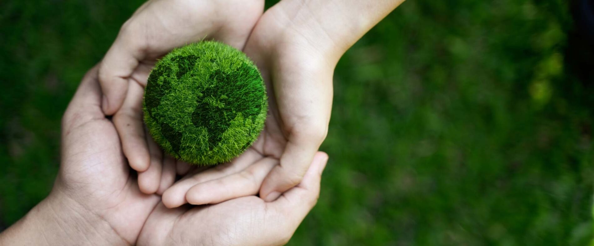 La sostenibilità ambientale: significato e importanza