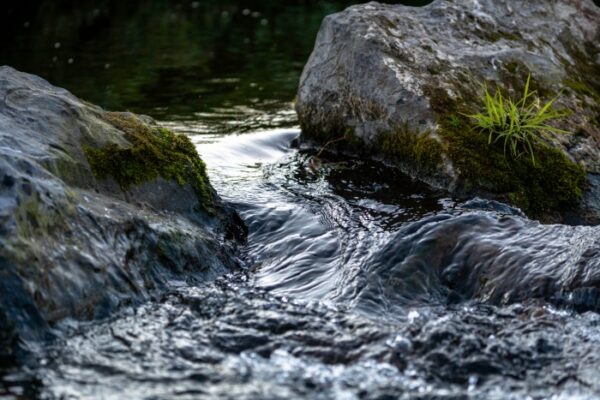 L'importanza dell'acqua per la terra e per la vita | Acqua Sant'Anna